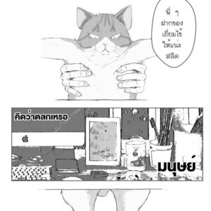 salid the cat – Homu